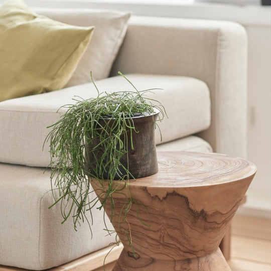 Styling 01 – tiflo